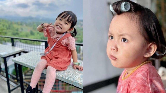 Umur 8 Bulan Sudah Bisa Bicara, Sosok Shabira Alula Balita yang Populer ...