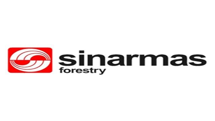 LOWONGAN Kerja di Sinar Mas Forestry September 2022 Posisi Graduate ...
