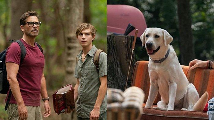 Sinopsis Film Dog Gone, Pelajaran Berharga di Balik Kisah Anjing yang ...