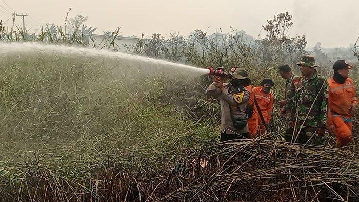 Pandangan Asap Tebal di Palembang, Karhutla di Pemuluran Ogan Ilir, Api Mengancam Rumah Warga ...