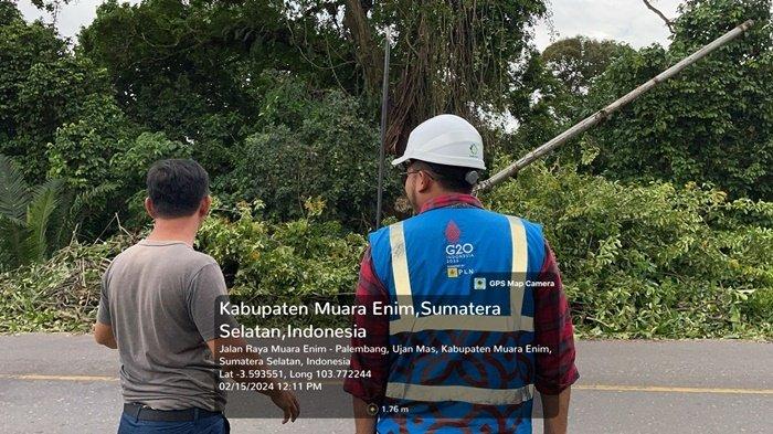 PLN Unit Layanan Pelanggan Muara Enim Berupaya Menjaga Jarak Aman Pohon ...