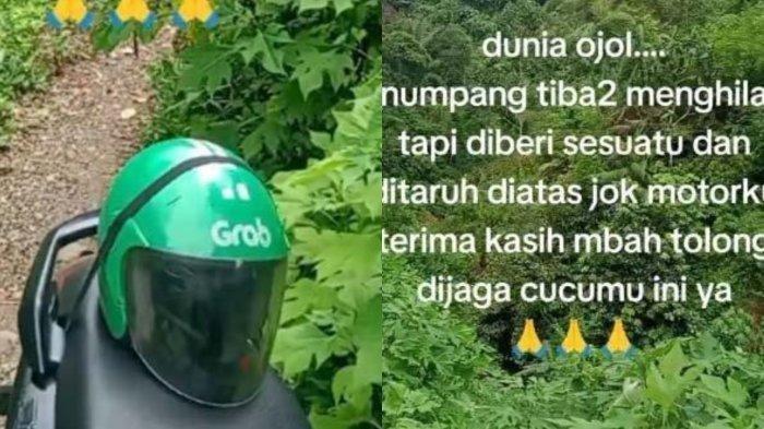 Viral Driver Ojol Syok Penumpangnya Hilang Usai Minta Antar ke Hutan, Tinggalkan Bungkusan ...