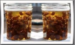 Minuman Kegemaran Rasulullah Di Bulan Ramadhan, Banyak Khasiat ...