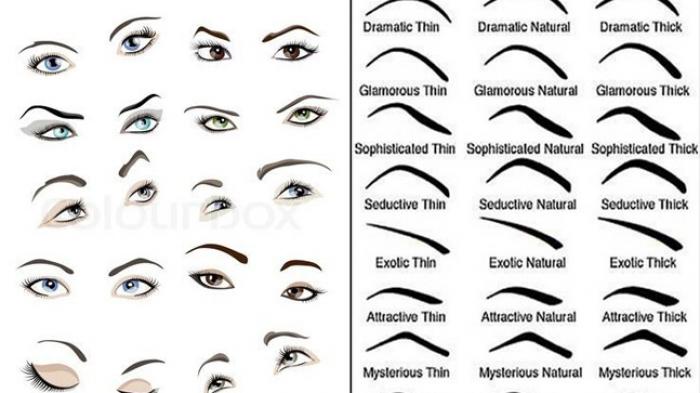 Karakter Pria Bisa Dibaca dari Bentuk Rambut Alisnya - Sripoku.com