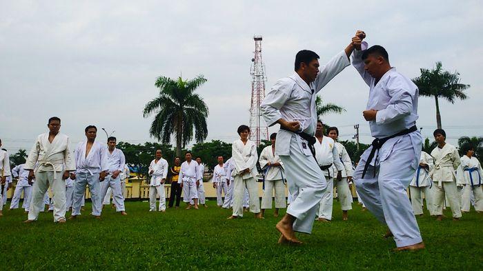 Ingin Berlatih Karate? Kamu Wajib Tahu Sejarah dan Aliran Karate, Seni ...