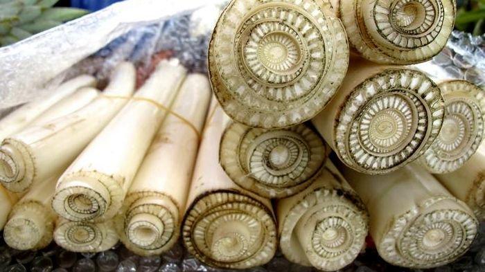 Luar Biasa! tak Berguna di Indonesia, Ternyata Gedebog Pisang Dijual di ...