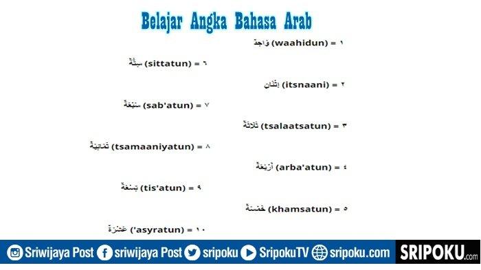 Belajar Menulis Angka dalam Bahasa Arab 1-50 Lengkap Simbol dan Tulisan ...