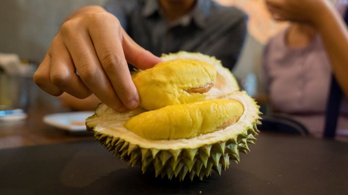 Ini 3 Fakta Menarik Tentang Durian, Ternyata Begini Asal Mula Baunya yang Menyengat - Sripoku.com