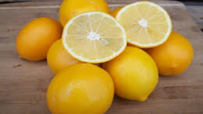 Inilah 7 Manfaat Kulit Lemon: Menangkal Bakteri hingga Berpotensi untuk ...