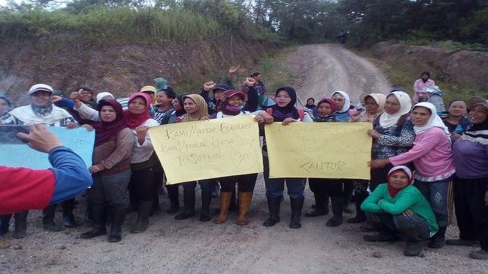 Karyawan PT GSB Tuntut Hapuskan Sistem Shift dan Minta Kebun Plasma ...