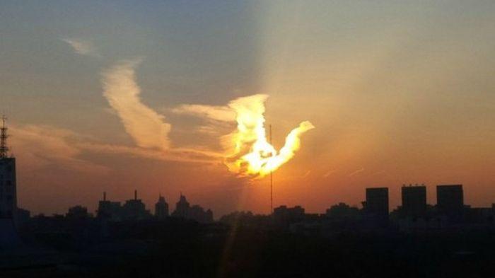 "Burung Api" Muncul di Langit China - Sripoku.com