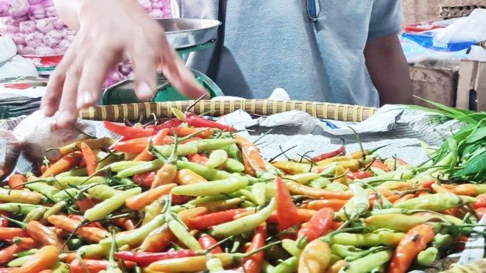 Sebab Harga Cabai Melonjak Drastis di PALI, Ada Cabai Setan Kini Tembus Rp 100 Ribu Per Kilogram ...