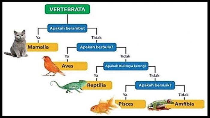 Berita Ciri dan Taksonomi Makhluk Hidup Terbaru Hari Ini - Sripoku.com