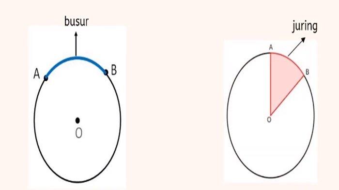 Soal Matematika serta Jawaban Kelas 6 SD Kurikulum Merdeka, Panjang Busur dan Luas Juring ...