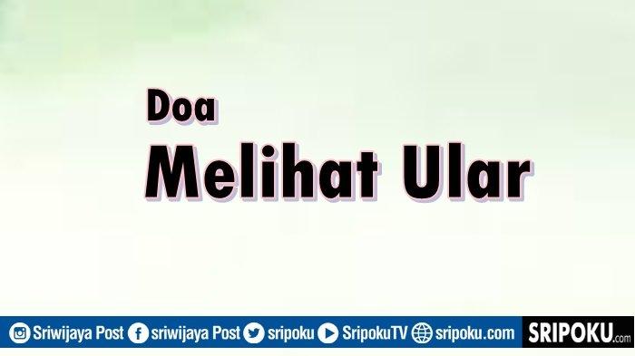 Bacaan Doa saat Melihat Ular dan Cara Mengusir Hewan Berbisa, Lengkap ...