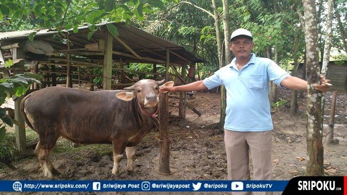 Cerita Sukses Anton Sudirman, Berawal Buruh Tani Kini Miliki Puluhan ...