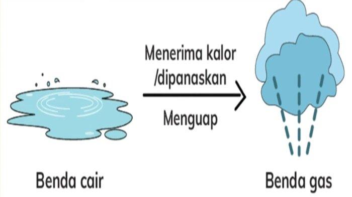 Apa Itu Menguap dan Mengembun? Bagian Materi Seri Pembelajaran IPAS ...