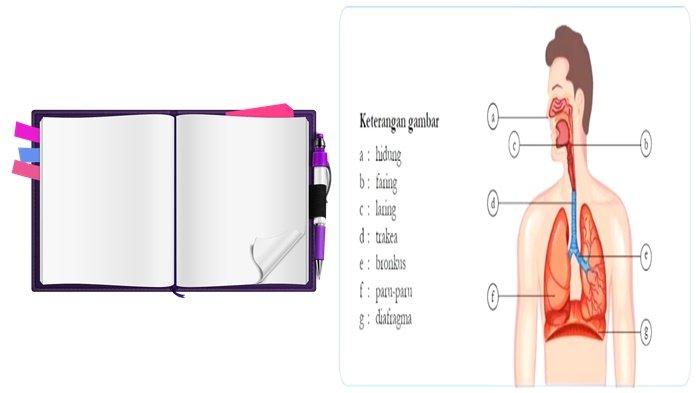 Rangkuman Materi IPA Kelas 8 SMP Bab 2 Sub Bab 3 Kurikulum Merdeka ...