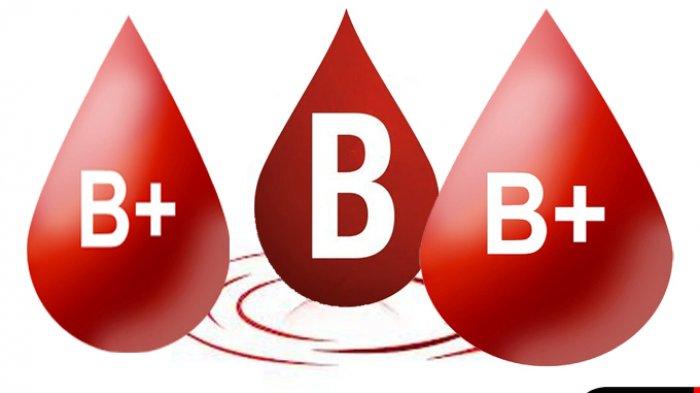 Apa Itu Rhesus? Ada Rhesus Negatif dan Positif, Ini Pentingnya Sebelum ...