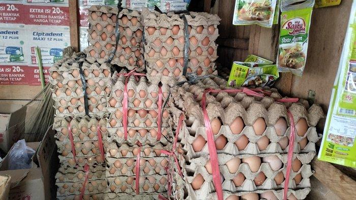 Update Harga Telur Hari Ini Sabtu 7 Januari 2023 di Musi Rawas, Rp 54.000 Per Karpet - Sripoku.com