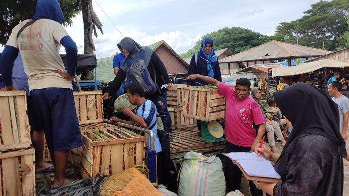 'Pemerintah tak Mampu Apalagi Kami' Petani Pasrah Harga Sayuran tak Ada ...