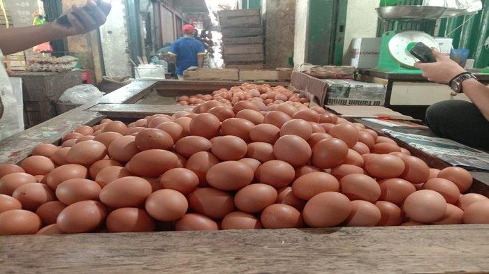 Update Harga Telur Ayam Di OKU Hari ini, Jelang Perayaan Nataru Naik Jadi Rp27 Ribu per Kg ...