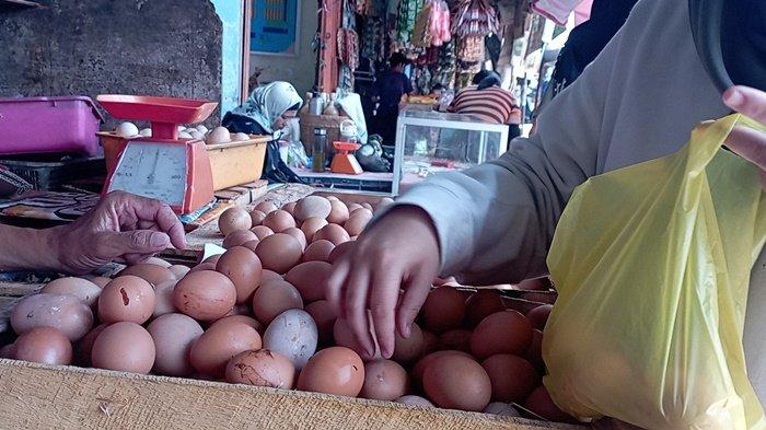 Update Harga Telur, Hari Ini Kamis 27 Oktober 2022 di Pasar 4 Ulu Palembang, Rp 25 Ribu Per Kilo ...