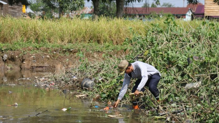 Siap siap Buang Sampah Sembarangan di Palembang Bakal Dipenjara Tiga Hari - Sripoku.com