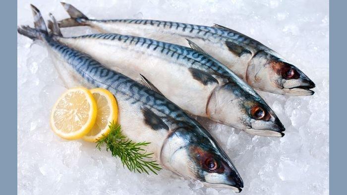 Inilah 5 Cara Mengetahui Ciri Ikan Segar dan Layak Dikonsumsi: dari ...