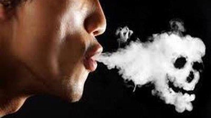 Ini Yang Akan Terjadi di Dalam Tubuh Saat Isap Ganja - Sripoku.com