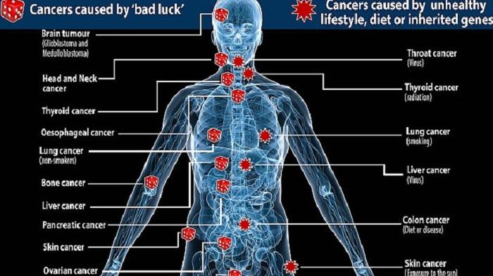 Kenali Sebelum Terlambat, Ini Beberapa Gejala dari 7 Jenis Kanker Ganas ...