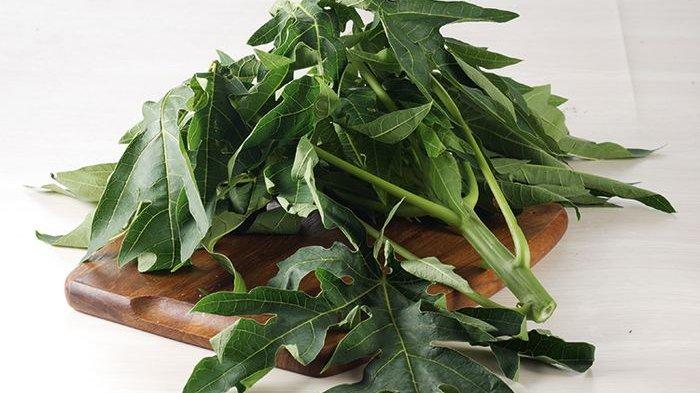 Ingin Wajah Terlihat Lebih Awet Muda, Ramuan Jus Daun Pepaya Layak ...