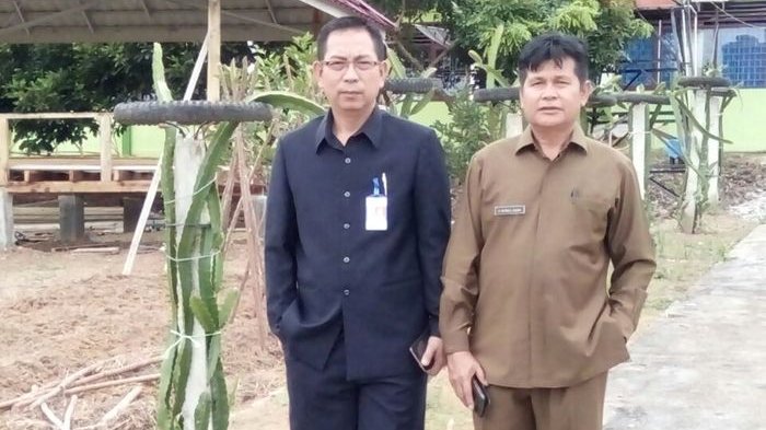 Lahan Kantor d Lahat Jadi Contoh Tanaman Palawija - Sripoku.com