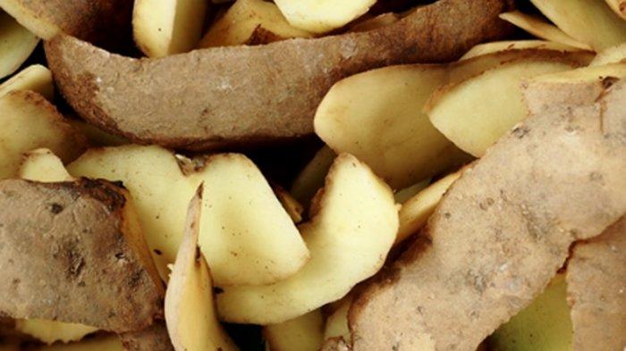 Jangan Dibuang, Kulit Kentang Bisa Dijadikan Obat, Berikut Bahan Dan ...