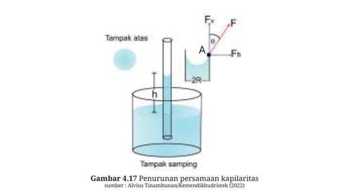Kunci Jawaban Fisika Kelas 11 SMA Halaman 104 Semester 2 Kurikulum Merdeka Latihan Ayo Cek ...