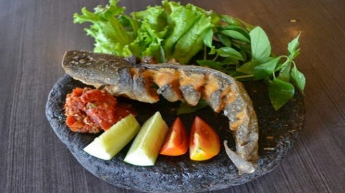 Kaya Nutrisi, Inilah 21 Manfaat Lele Dumbo yang Jarang Diketahui ...