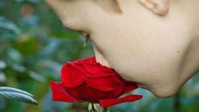 GUNAKAN Bunga Mawar: INI Dia CARA Mudah Tes Penciuman untuk Mendeteksi ...