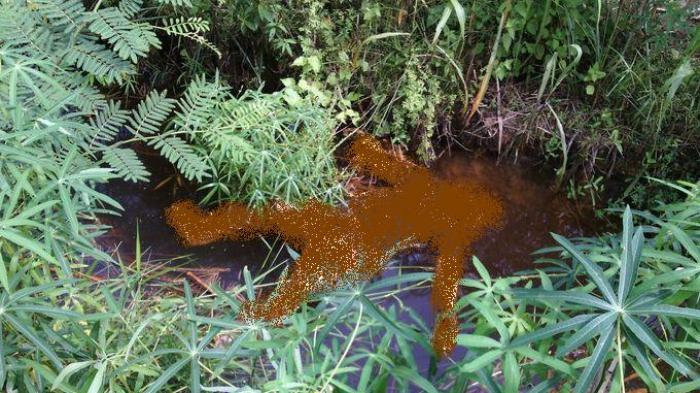Mayat Pria Berbaju Biru Mengapung di Parit Jalan Mariana Banyuasin ...