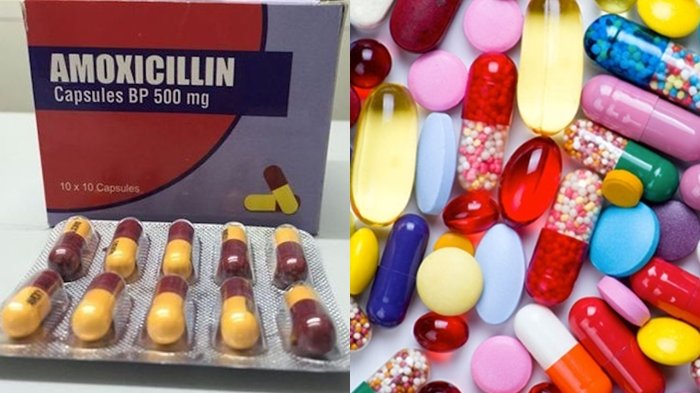 BAHAYA ! Jangan Minum Obat Amoxicillin Bersama Antibiotik Tanpa Resep ...