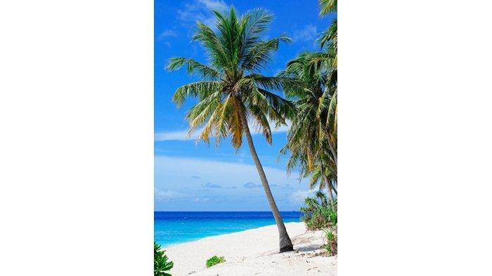 Kumpulan Foto Tema Keindahan Suasana Pantai Biru, Cocok untuk Wallpaper ...