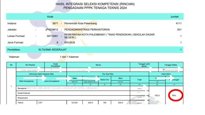 Arti Kode R4 dan R4/L Pada Hasil Seleksi PPPK Tahap 2 Tenaga Teknis, Biar Tidak Salah ...