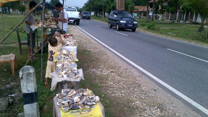 Penjual Batu Akik di Jalinsum Bak Cendawan di Musim Hujan - Sripoku.com