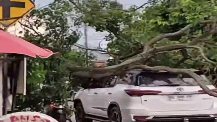 Hujan Disertai Angin Kencang, Pohon Roboh Timpa Mobil Fortuner di Jalan Parameswara Palembang ...