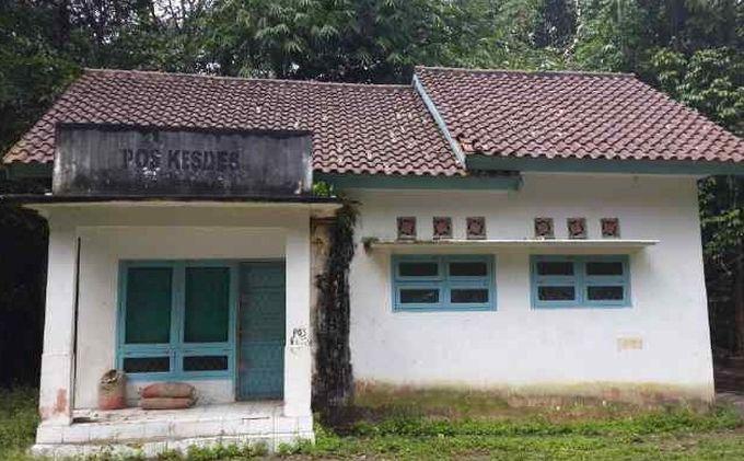 Bagaimana Cara Membersihkan Lumut HIjau yang Sering Mengotori Dinding ...