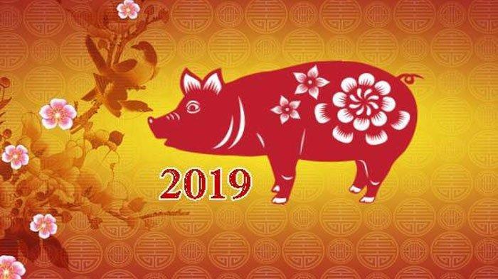 Shio Babi Tanah - Berikut Daftar Ramalan 10 Shio Tahun 2019, Shio Naga ...