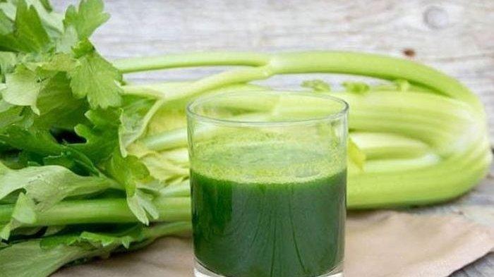 Seminggu Minum Jus Seledri Saat Perut Kosong, Rasakan Manfaatnya Untuk ...