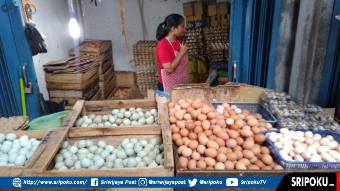 Update Harga Telur Hari Ini di Pasar Km 12 Kota Palembang, Mulai Naik ...