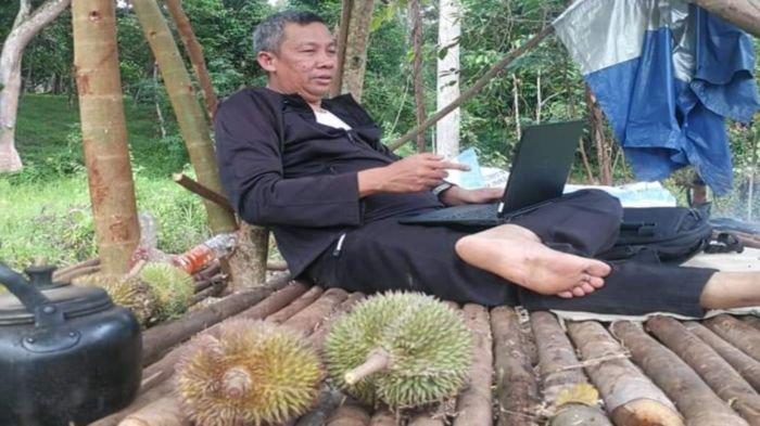 Baturaja Mulai Musim Durian, Banyak Dijual Pedagang di Sudut Kota, Ini Daftar Harga Durian di ...