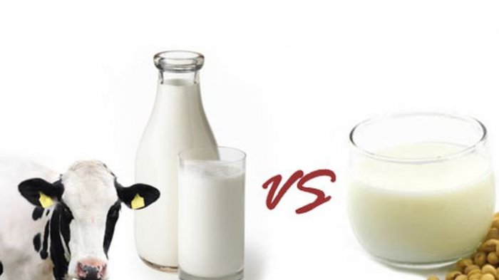 Sama-sama Sehat, Inilah Bedanya Susu Sapi dan Susu Kedelai, Pilih yang ...