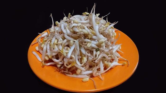 4 Cara Cepat Membersihkan Taoge atau Kecambah Sebelum Diolah, Mudah dan ...